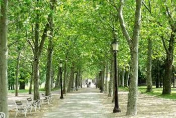 Tagore sétány Balatonfüred vélemények - Jártál már itt? Olvass ...