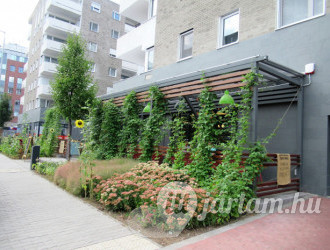 Figi & Lipike Budapest vélemények - Jártál már itt? Olvass véleményeket ...